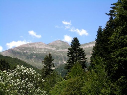 ochagavia_otsagabia_monte_orhi | AYUNTAMIENTO DE OCHAGAVÍA / OTSAGABIA